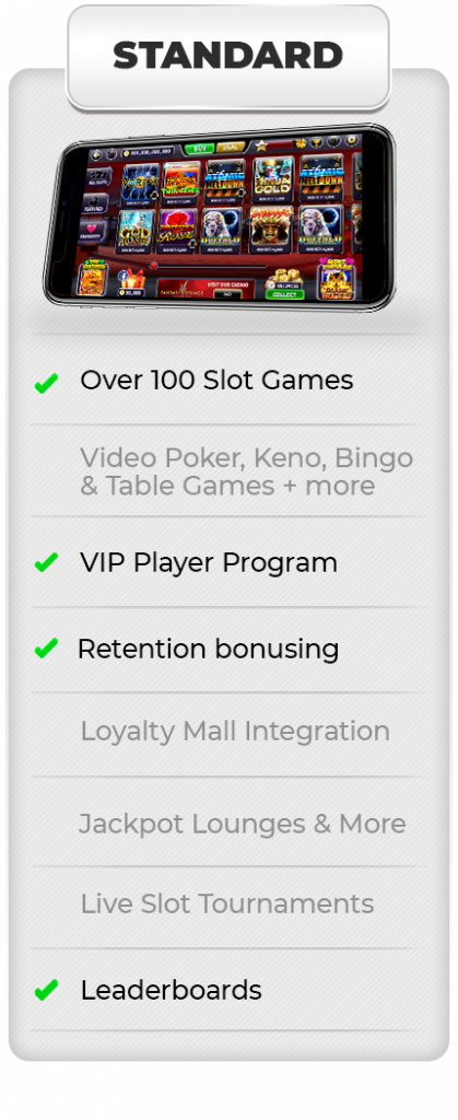 Ruby Seven Studios, Inc. – The Premier Social Casino Gaming Company.